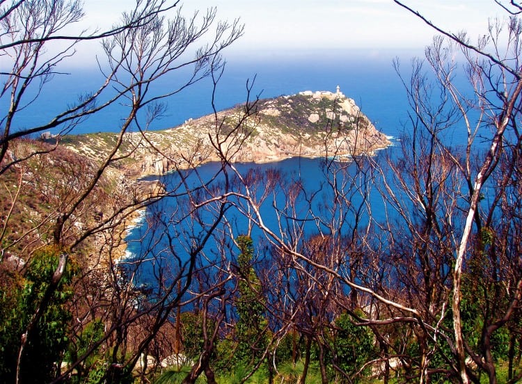 Wilsons Prom National Park - Foster Community Online