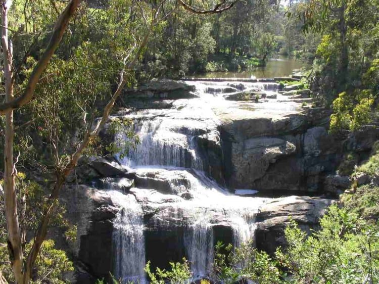 Agnes Falls Scenic Reserve - Foster Community Online